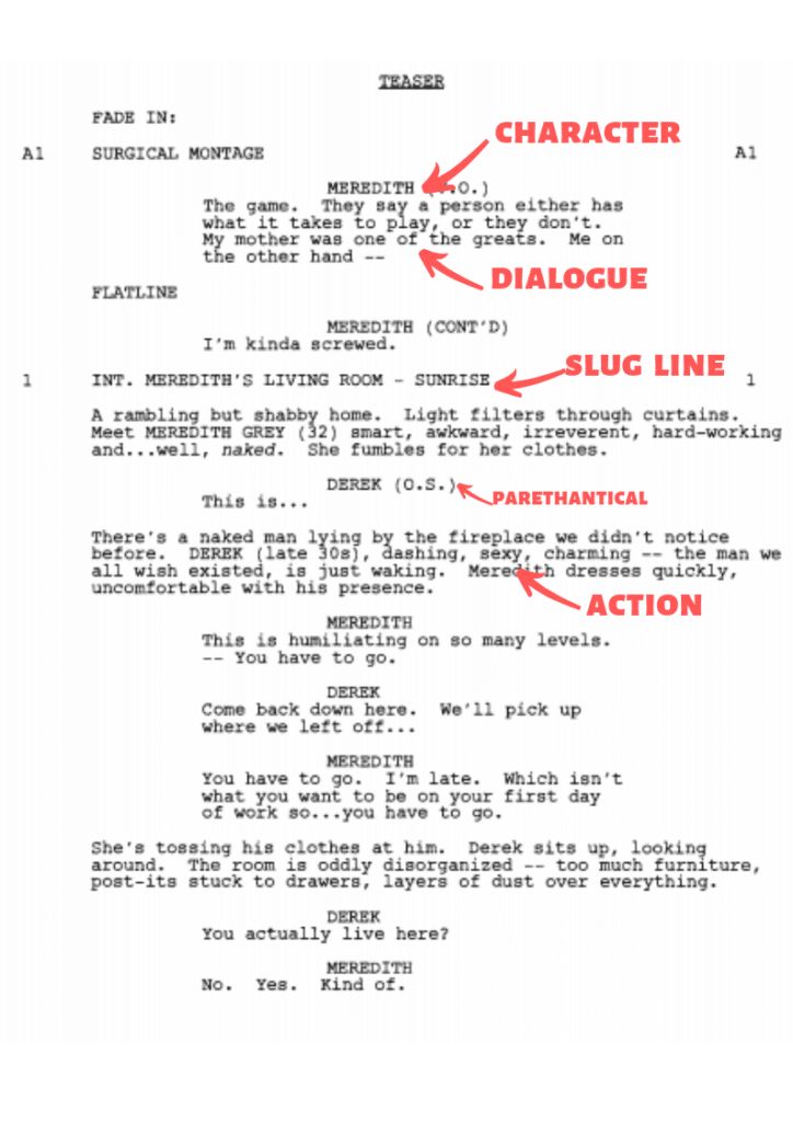 Screenplay Format For Authors Entering A Screenplay Contest Page 